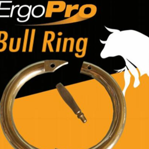 BRASS BULL RINGS | Farmers Market